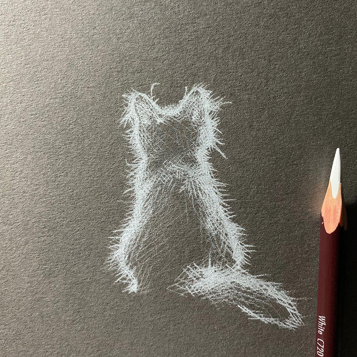 Illuminating the dark: 36 drawings using white ink on black paper