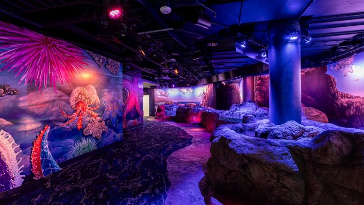 The Florida Aquarium attraction ranked in the top 5 best US attractions ...