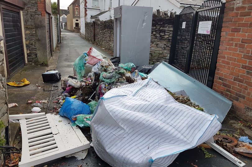 Huge pile of fly-tipped rubbish dumped in leafy city neighbourhood