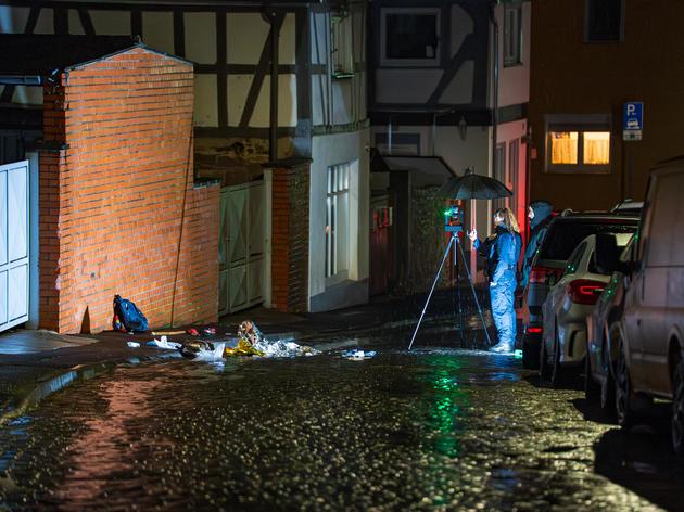 Hundewelpen aus Fenster geworfen – jetzt äußert sich die Staatsanwaltschaft