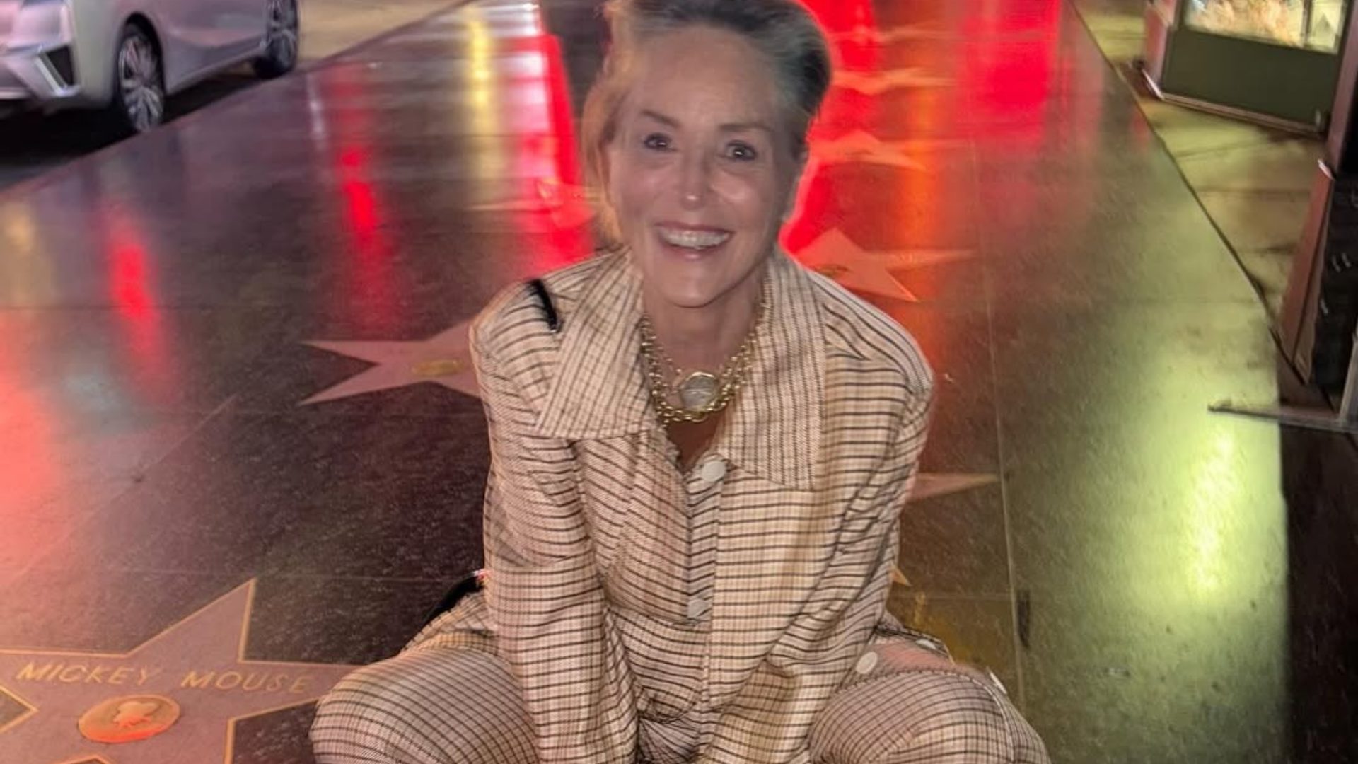 Magnificent: Sharon Stone, 67, causes a sensation in a breathtaking look