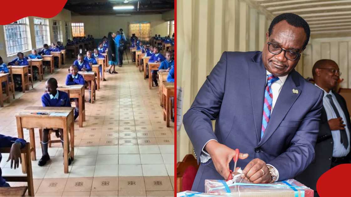KNEC releases 2025 KSEA, KILEA exam results, shares steps on how to ...