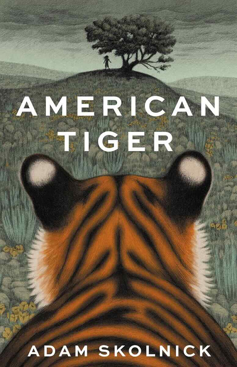 American tiger finds wonder where suburbia insists there is none