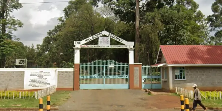 Hill School Eldoret fees, KCSE performance and contacts