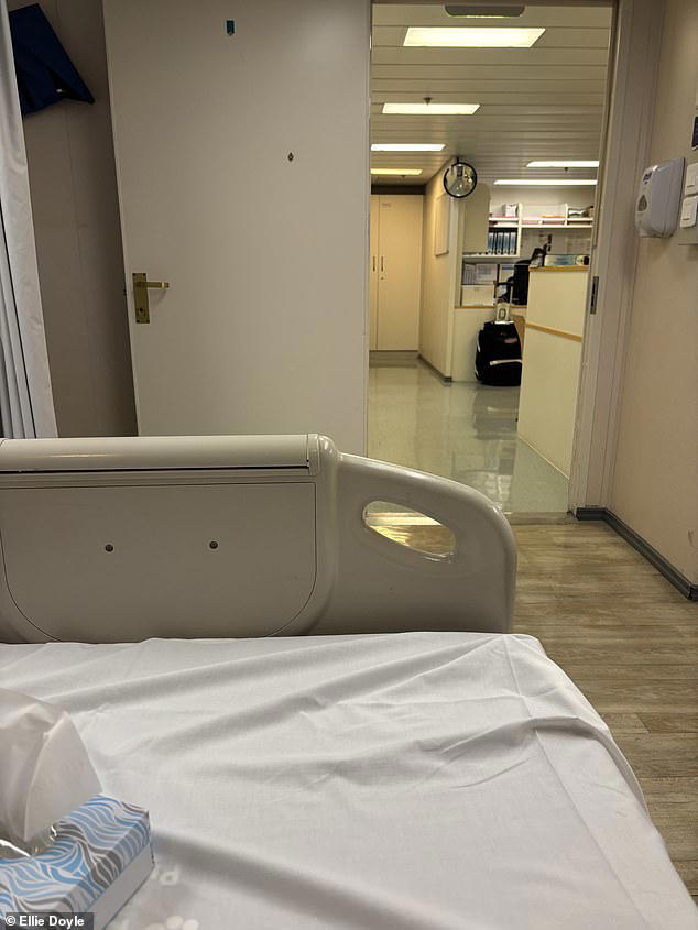 Family holiday chaos as 'super-flu' rips through cruise ship