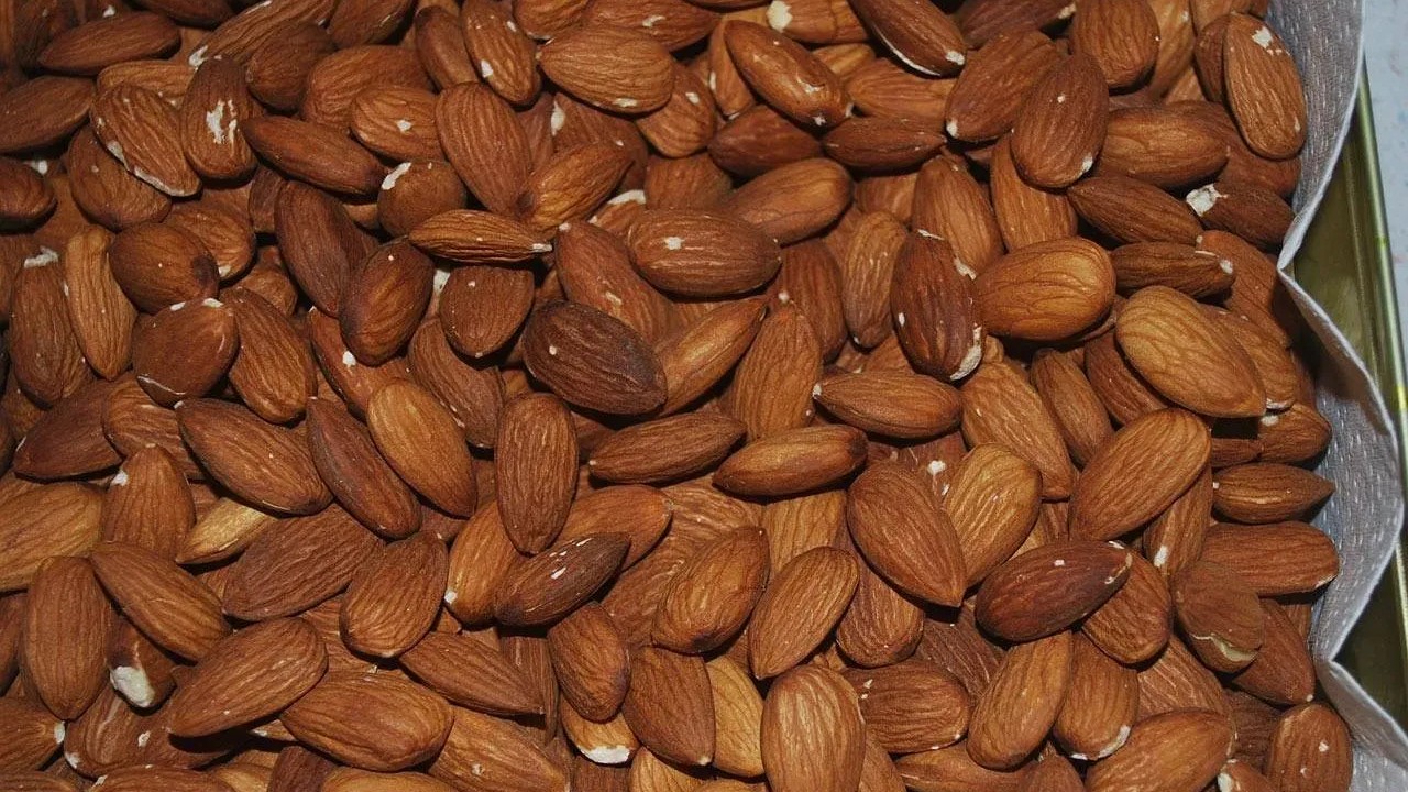 5 magnesium-rich foods that naturally fight fatigue, experts say