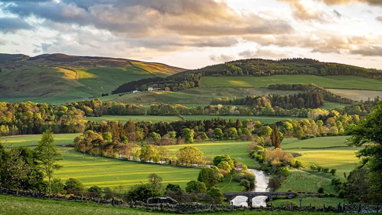 Why farmland is quietly beating luxury real estate