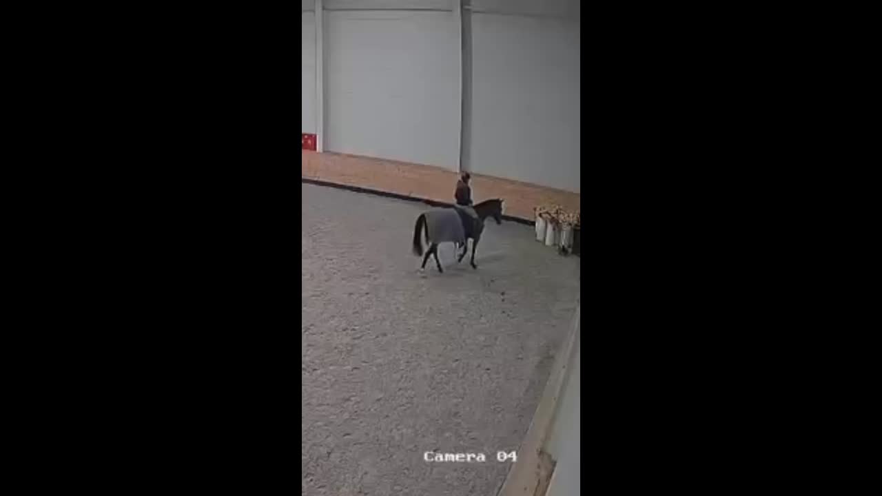 Rider takes tumble after horse spooks during dismount in viral clip