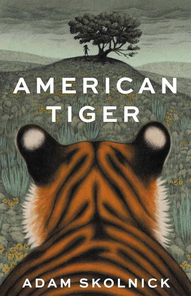 American tiger finds wonder where suburbia insists there is none