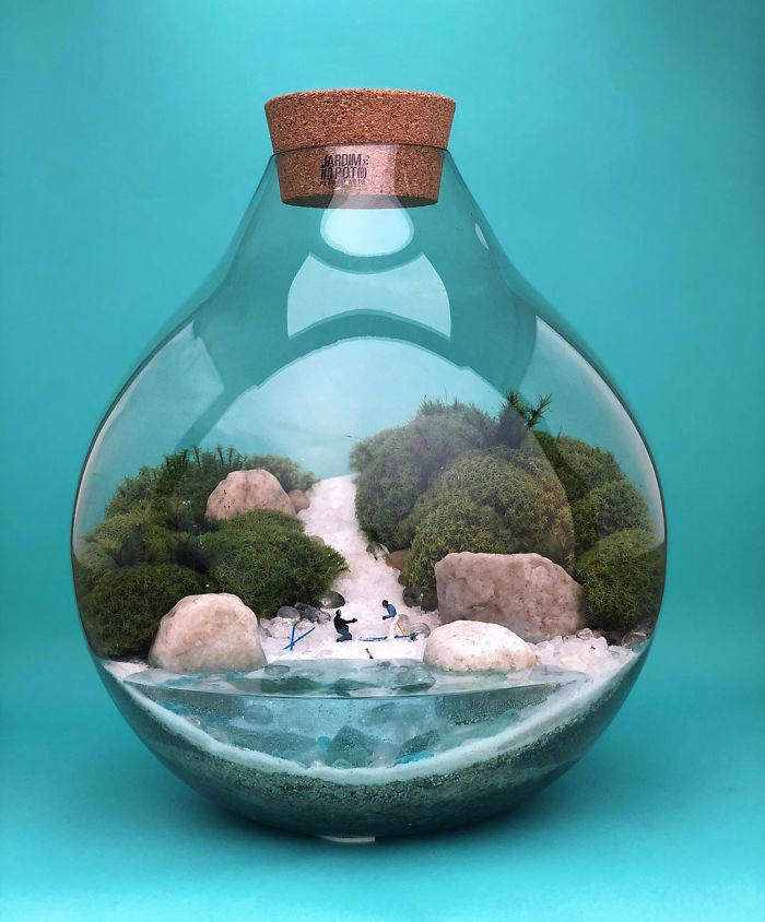 Miniature worlds: 30 self-sustaining ecosystems in glass
