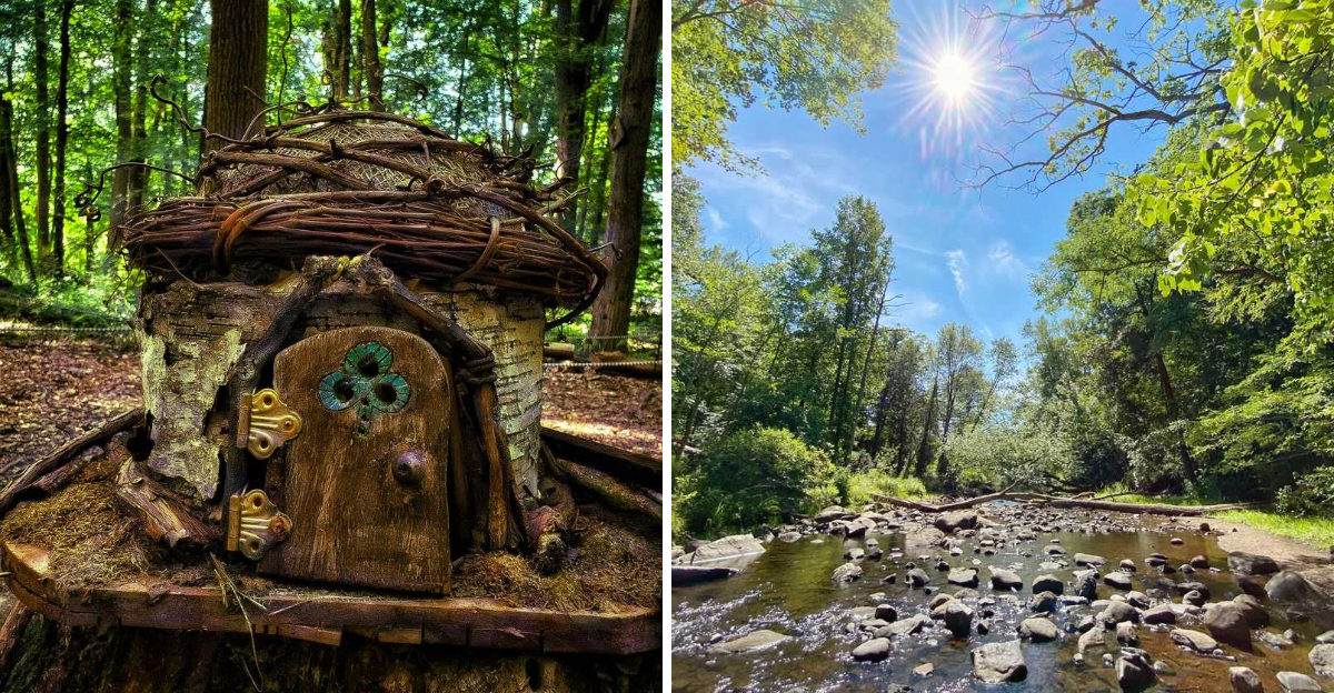 Secret hiking trails in northern New Jersey locals call hidden gems