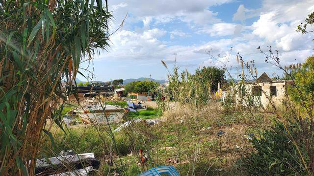 Més per Palma denuncia que el PP ha dado "luz verde a la destrucción de ...