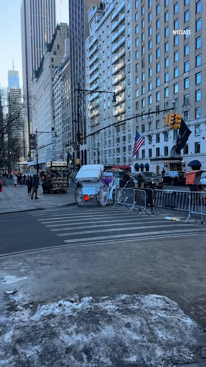 NYC carriage horse caught on camera running through Central Park ...