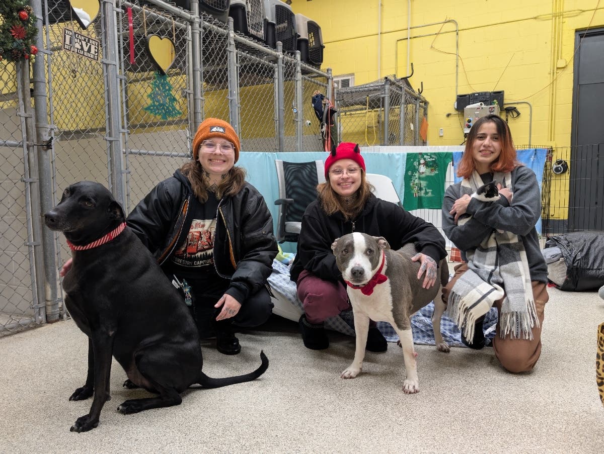 Midnight Sun Tattoo Parlor holds fundraiser for Secaucus Animal Shelter