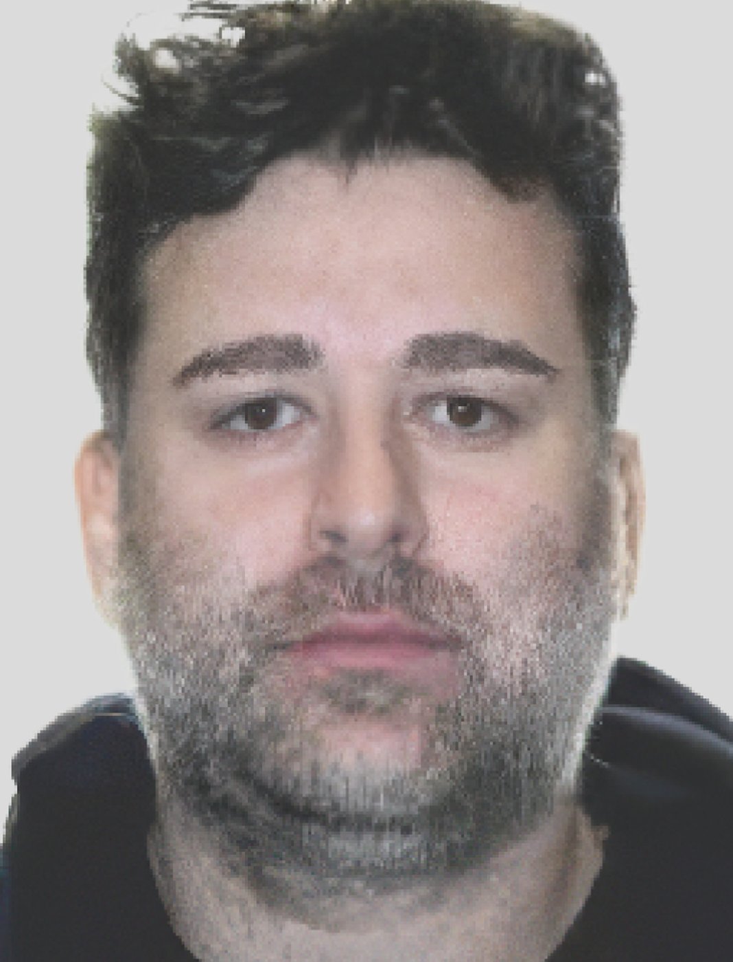 Proposed surety testifies at bail hearing for man accused in Ryan ...