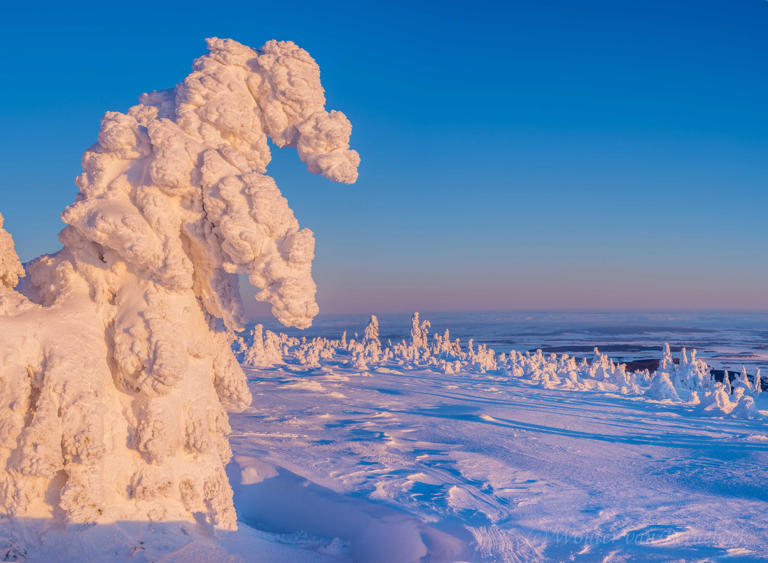 Extreme kou kwam dichtbij: wij zochten het op!