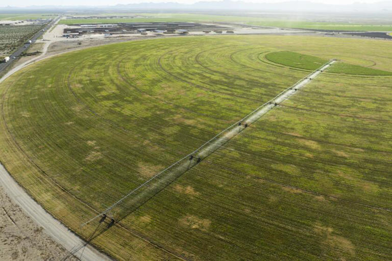Arizona draws a line on groundwater use after letting Saudi-owned ...