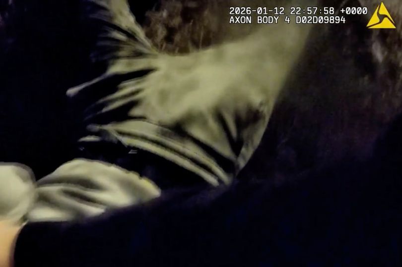 Moment police dog chases down suspect minutes after elderly man's house ...