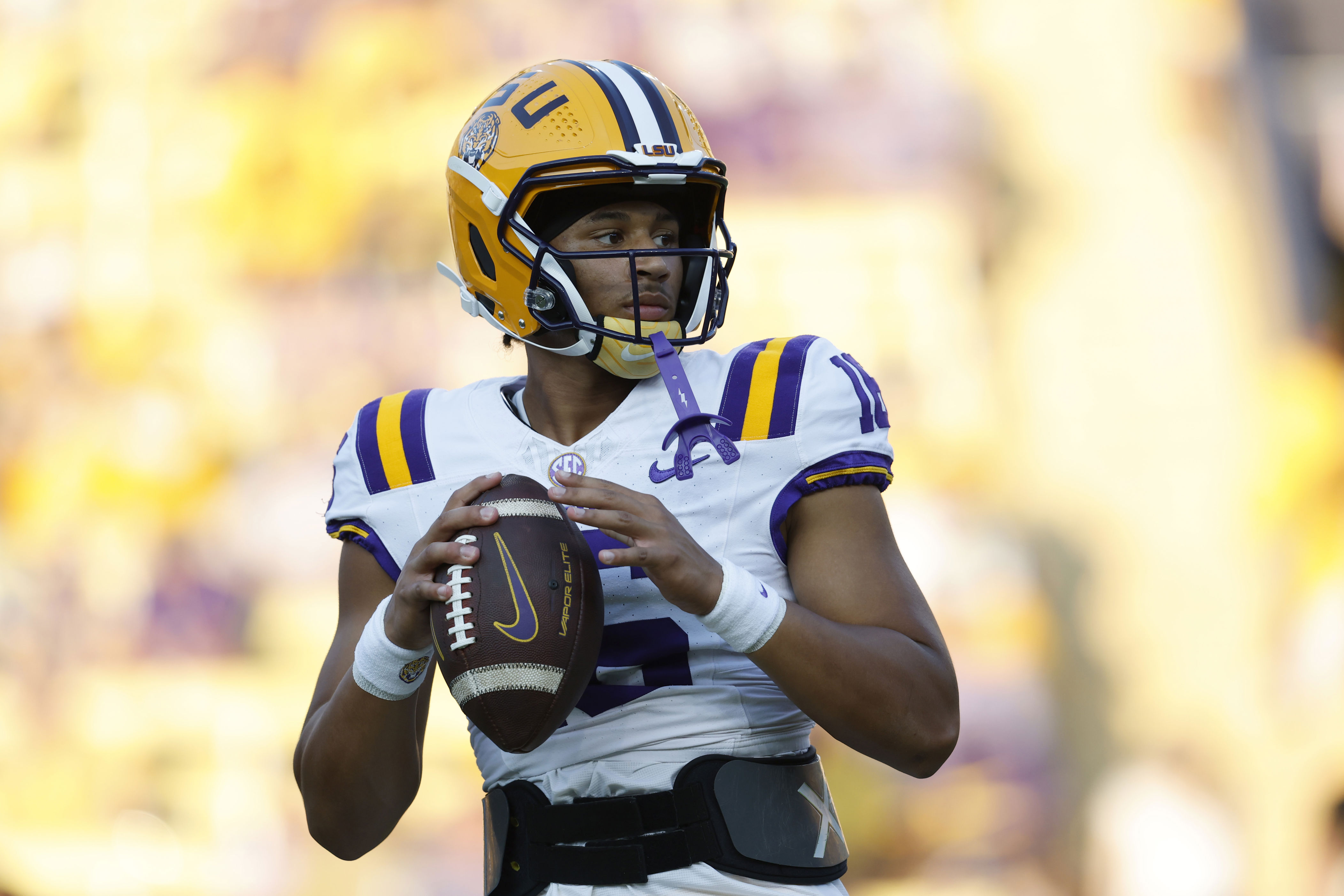 LSU transfer portal QB Colin Hurley commits to Michigan football