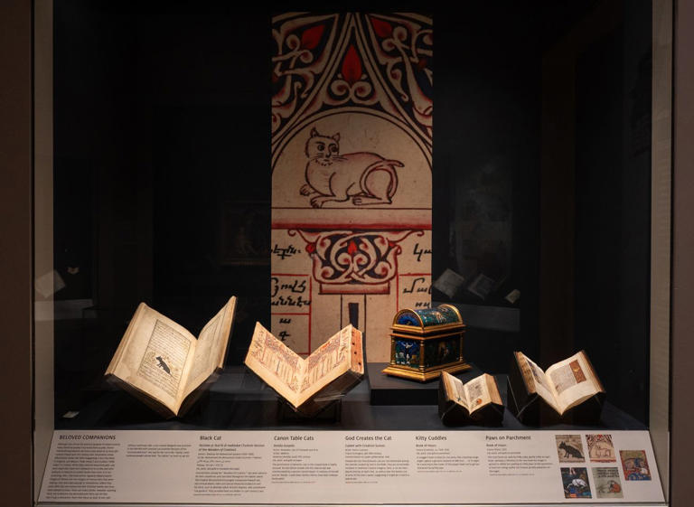 A cat left paw prints on the pages of this medieval manuscript when the ...