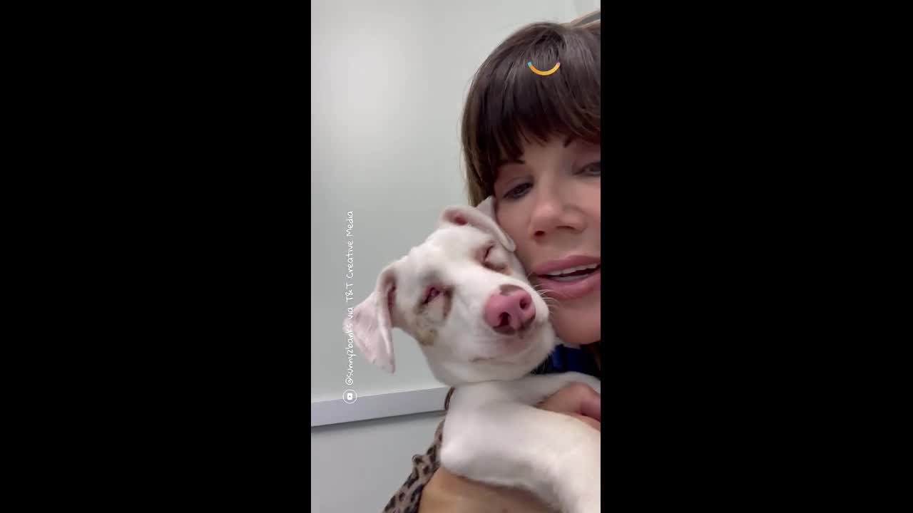 Deaf-blind dog excitedly dances when he senses owner is home | Happily TV
