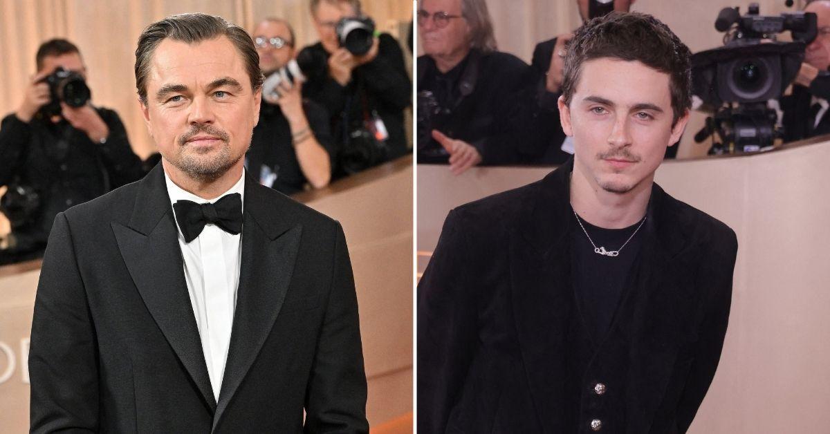 Chelsea Handler disses Timothée Chalamet's 'Marty Supreme' press tour ...