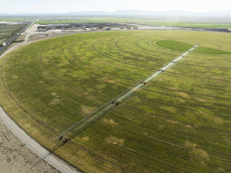 Arizona draws a line on groundwater use after letting Saudi-owned ...