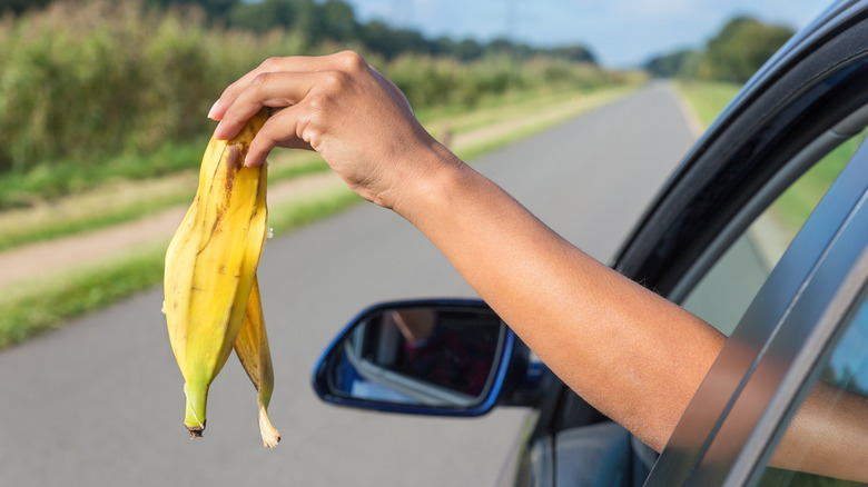 Think twice before tossing fruit rinds out your car window