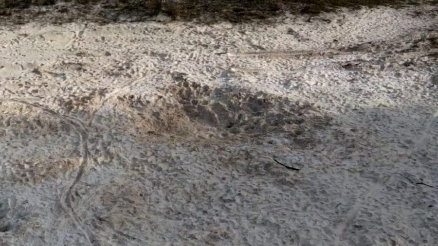 Boy dead, another in critical condition after hole collapse in Florida