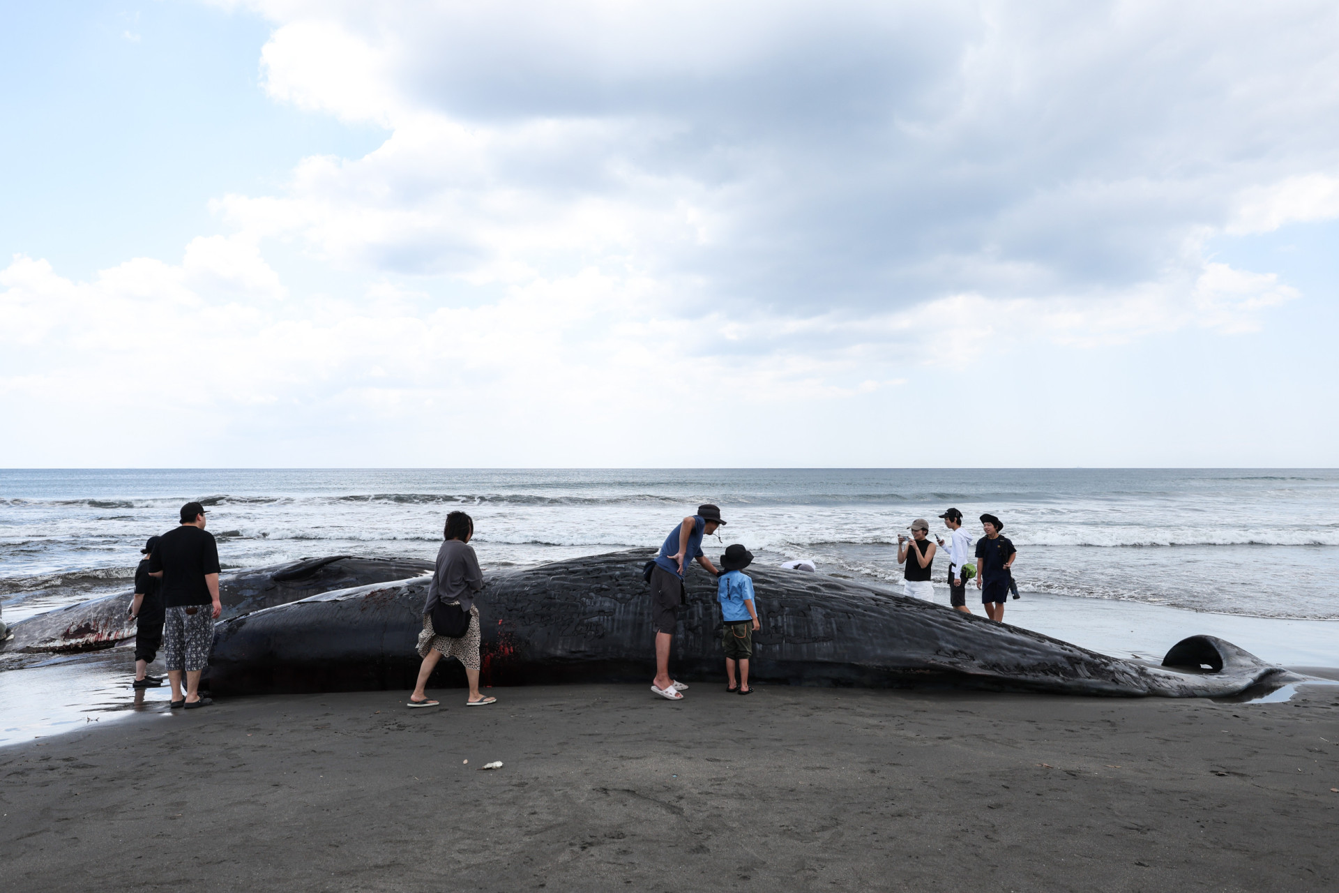 The largest and most destructive tsunamis in history