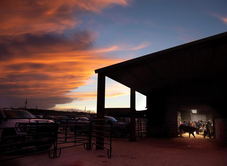 Mild days and some wind expected for Big Country weather this week