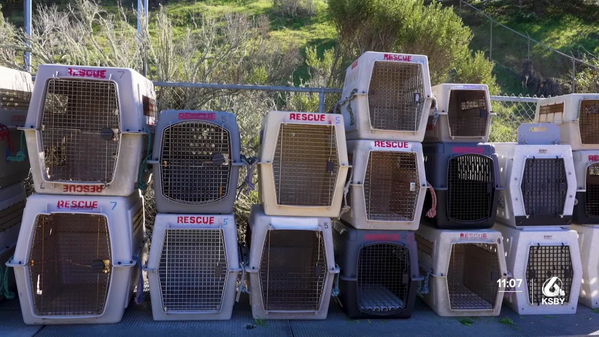 Marine Mammal Center searches for new home