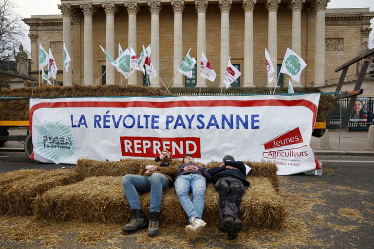 French farmers stage new Paris protest in effort to halt Mercosur deal