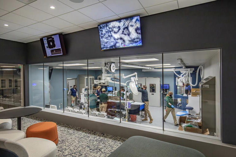 Omaha’s Henry Doorly Zoo opens new animal hospital