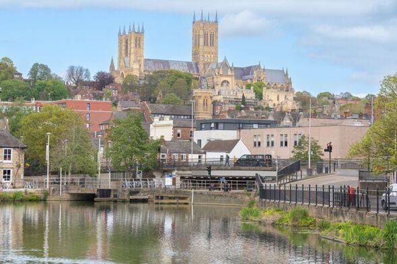 Bird flu outbreak in Lincoln swan population for first time
