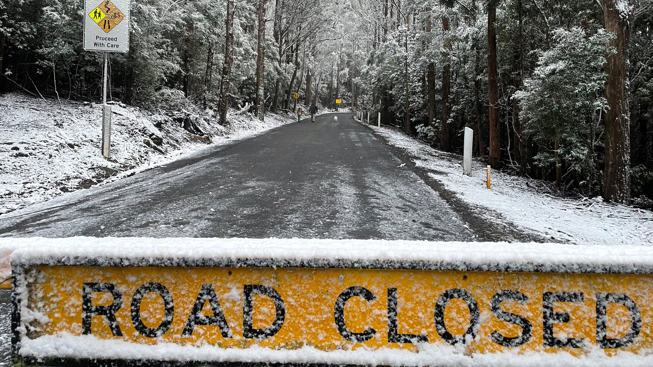 Documents reveal tensions over Kunanyi/Mt Wellington access plans debate