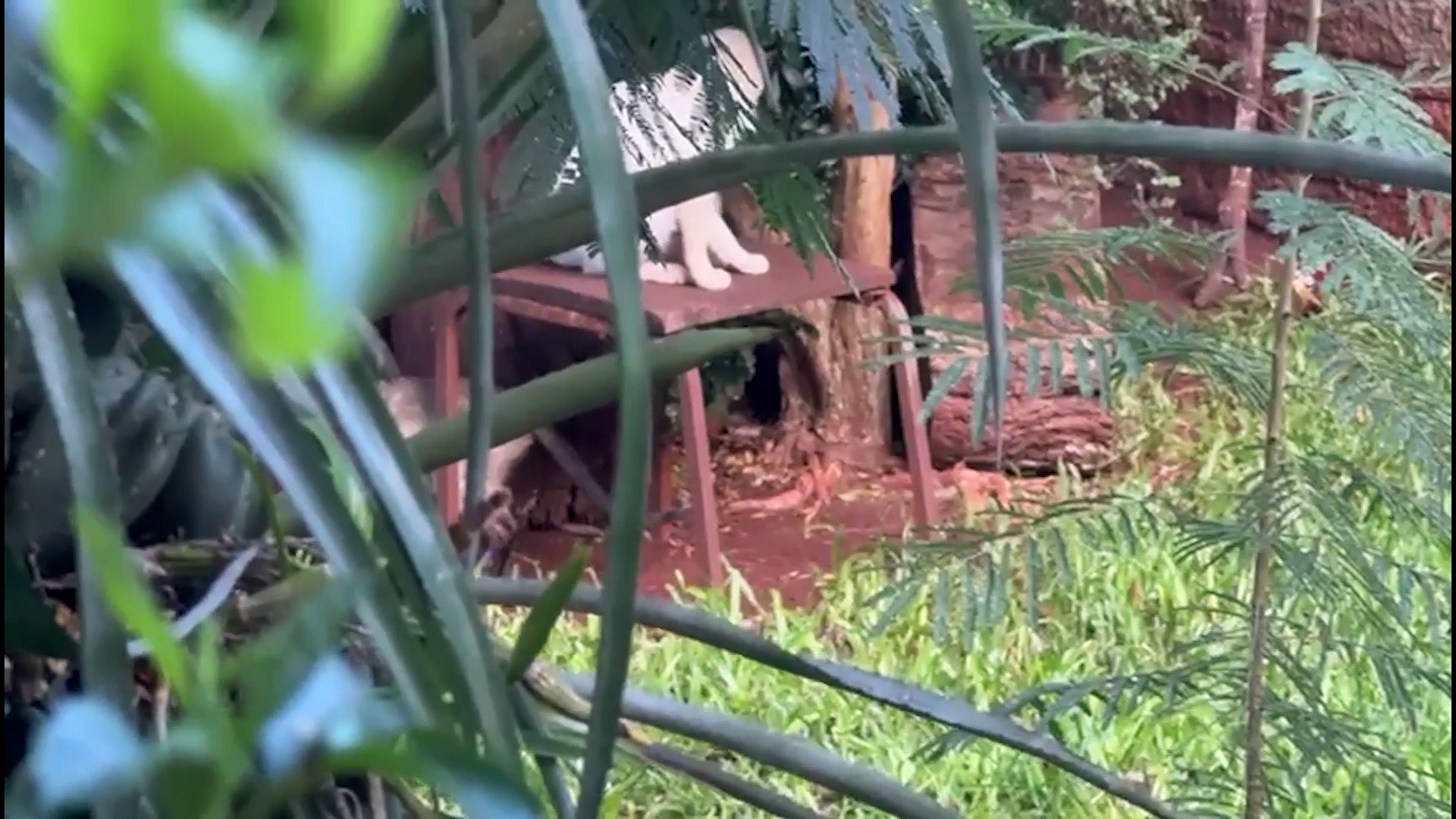 Uma preocupação para a nossa saúde, denuncia morador do Cancelli sobre ...