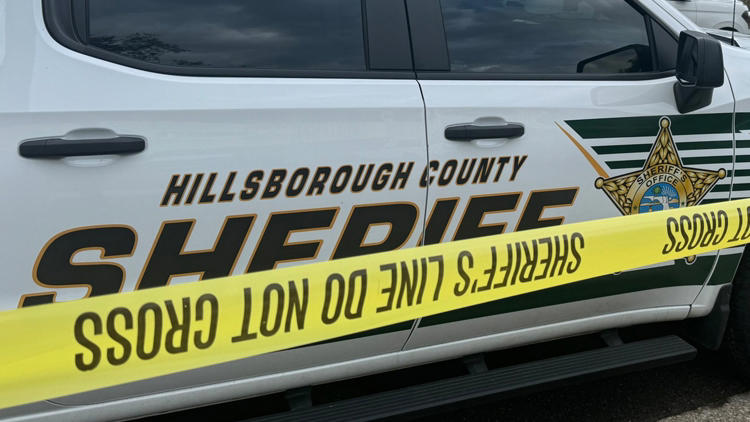 Hillsborough County man accused of shooting, killing pit bull that ...