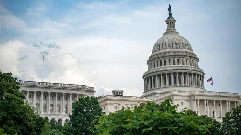 17 House Republicans who voted to drop Hyde protections targeted for ...