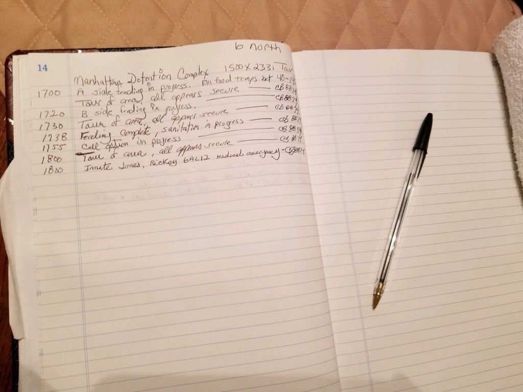 Paper to pixels: DOC tests digital logbooks years after watchdog rebuke