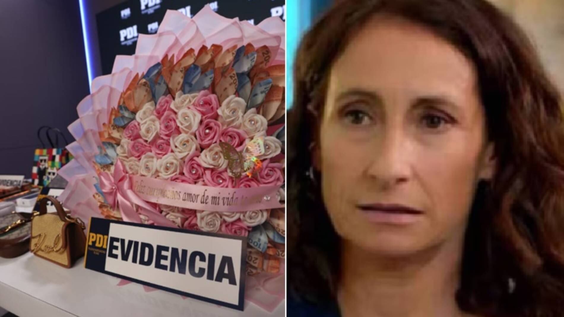 El complejo camino judicial para que Amparo Noguera pueda recuperar el ...