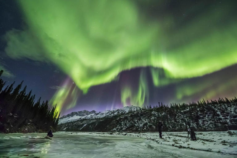 When to travel to Alaska: Top times for bears and national parks