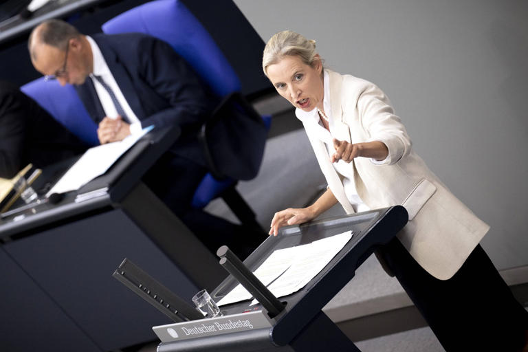 Weidel blamiert sich in Grund und Boden mit Merz-Attacke – "Sightseeing ...