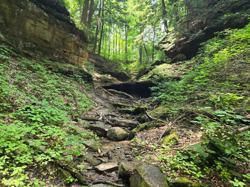 One Indiana state park looks so unreal it feels like a movie set