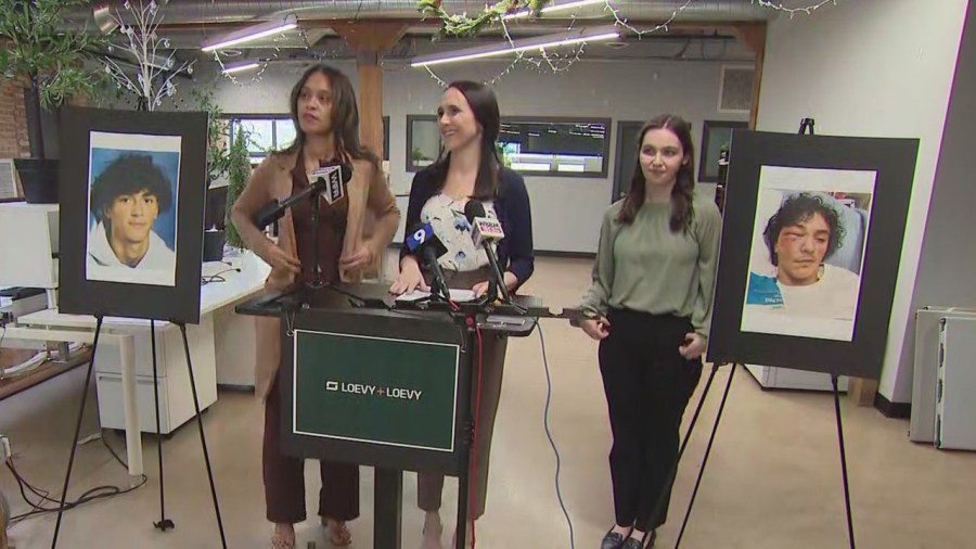 Rockford mom sues city, says police beat her son unconscious during ...