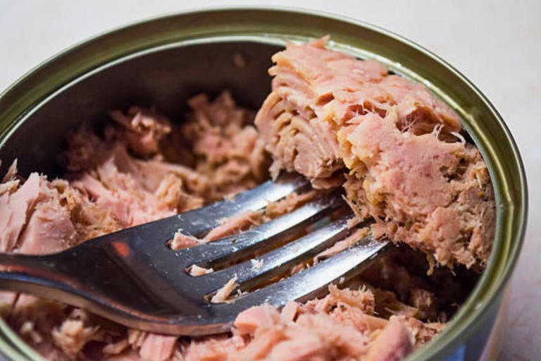 Advierten por alto contenido de mercurio en este famoso atún enlatado ...