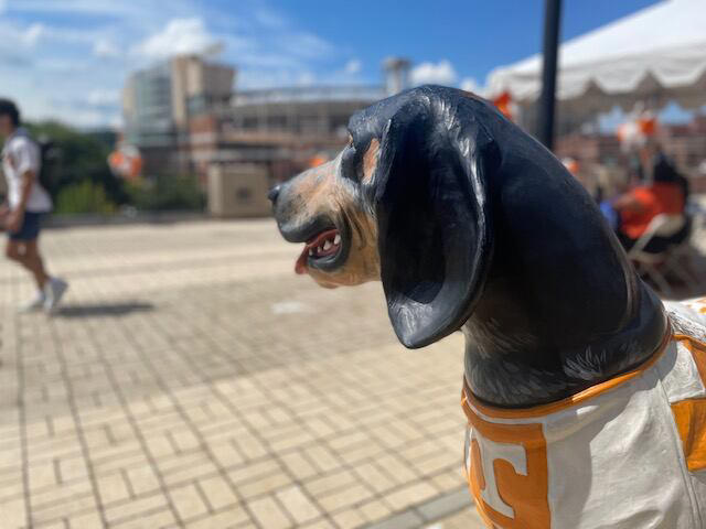 Active shooter training brings police, fire departments to UT campus