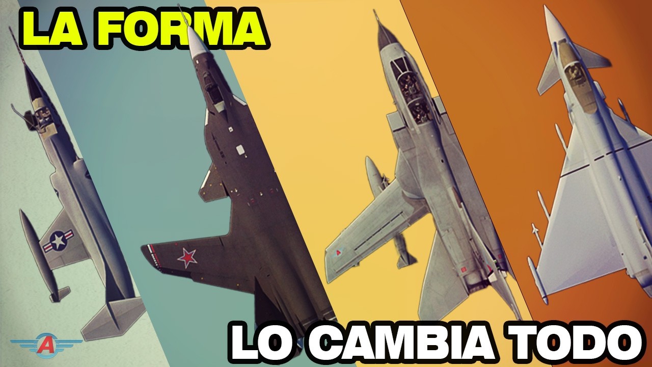 Tipos de alas explicados: la clave para volar