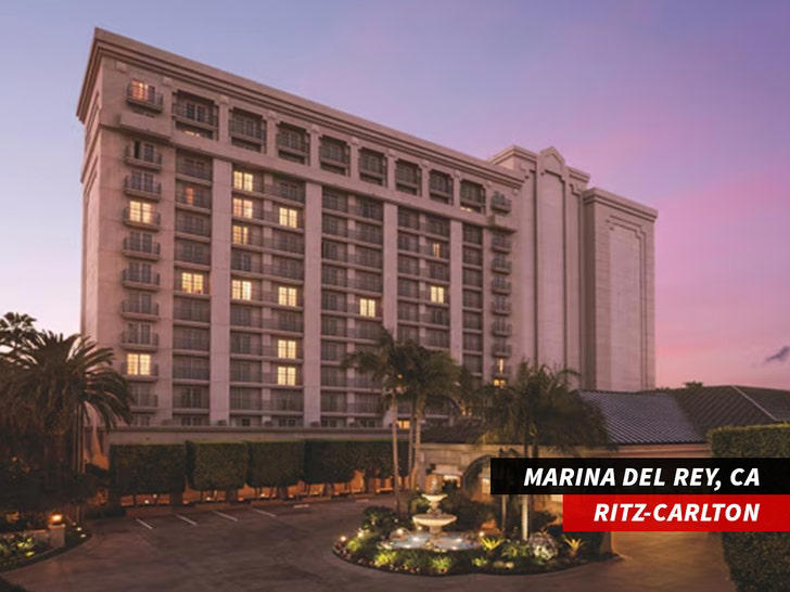 V Stiviano says she blacked out leaving hotel, woke up in middle of street