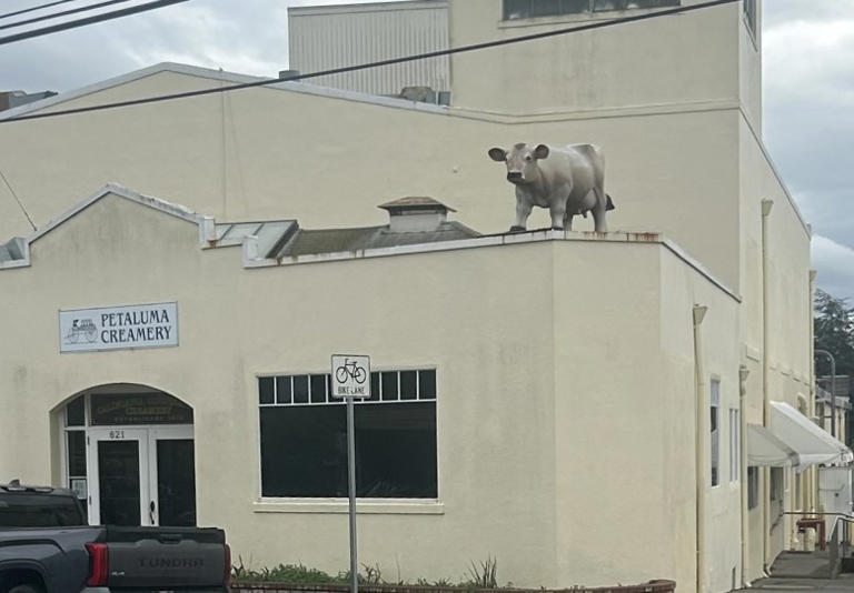 Find art, agriculture, 'American Graffiti,' architecture, fine dining ...